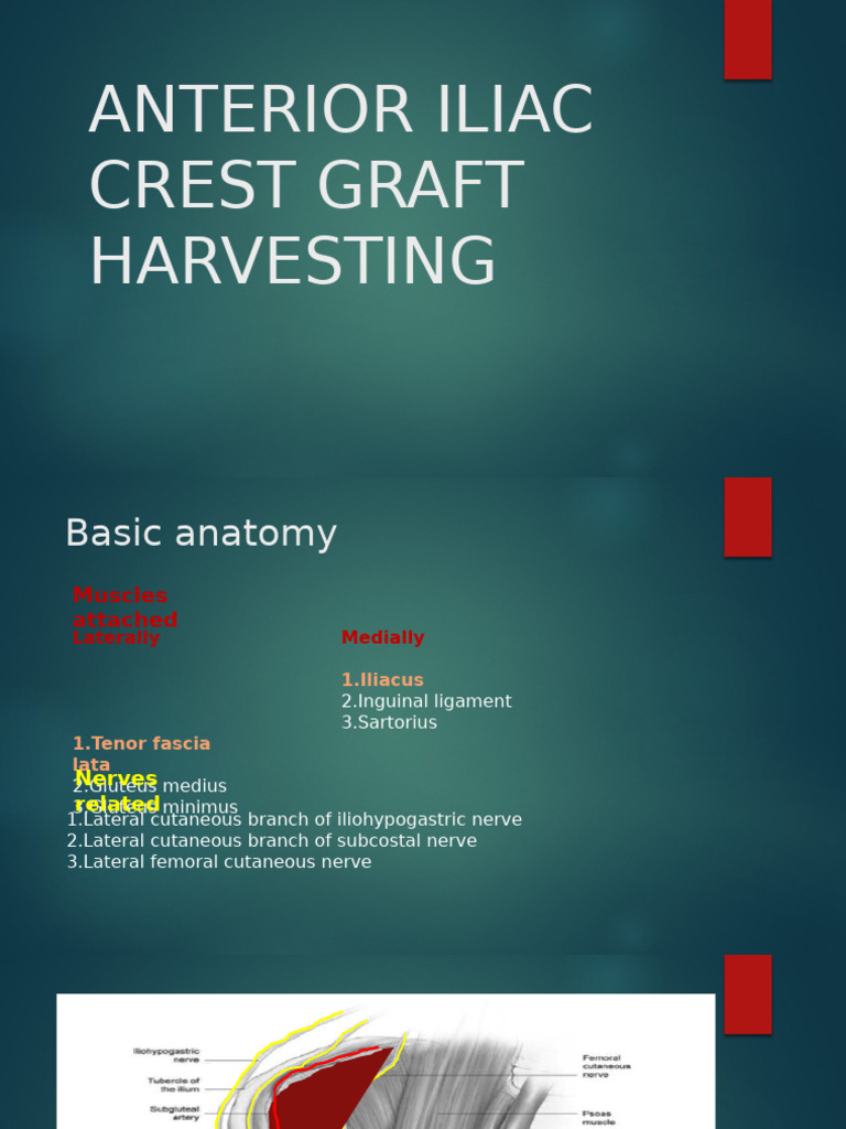 Anterior Iliac Crest Graft Harvesting | PDF | Science & Mathematics