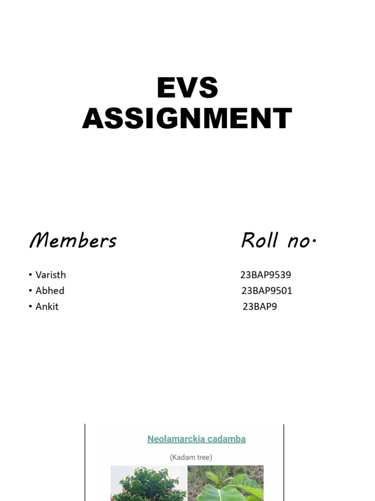 Evs Assignment | PDF