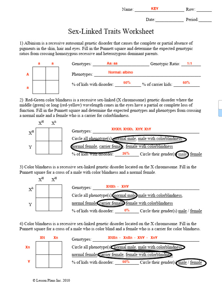 Sex-Linked Traits Worksheet | PDF | Genotype | Dominance (Genetics)