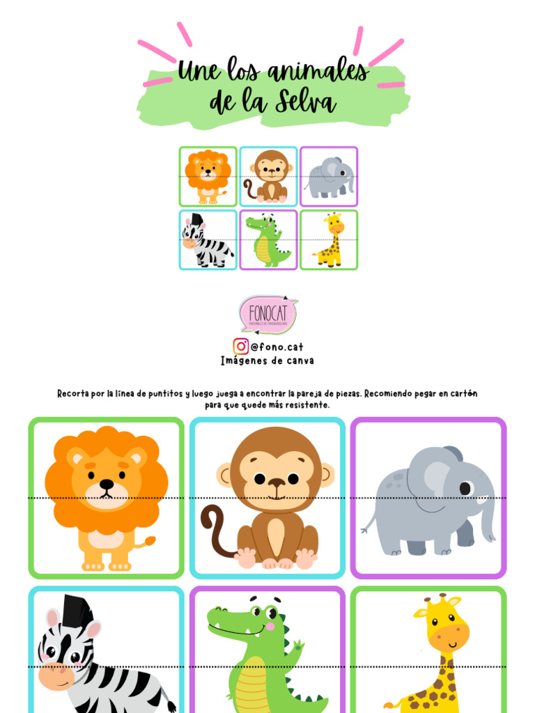 Memorama de Animales de la Selva | PDF