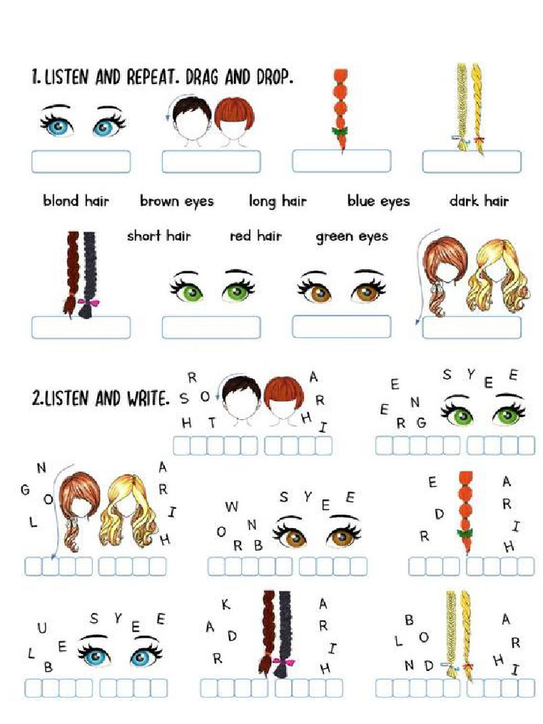 Worksheet Physical Appearance | PDF