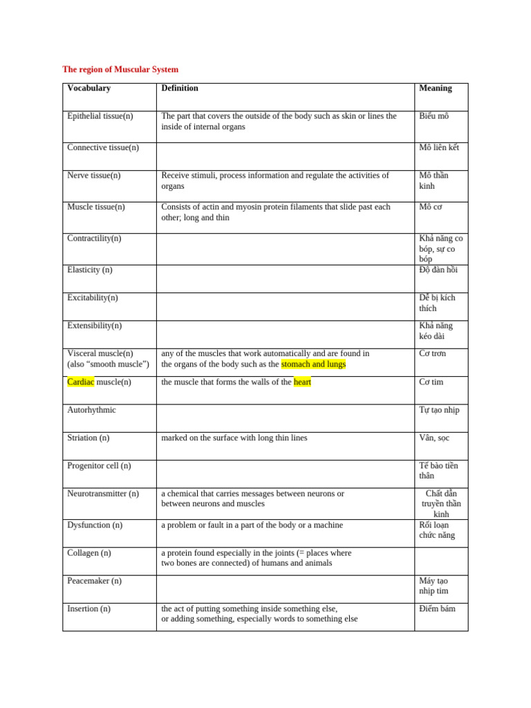 THE MUSCULAR SYSTEM Vocabulary | PDF | Musculoskeletal System | Soft Tissue