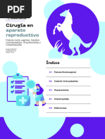 Colpoperineoplastia: Técnica y Procedimiento | PDF