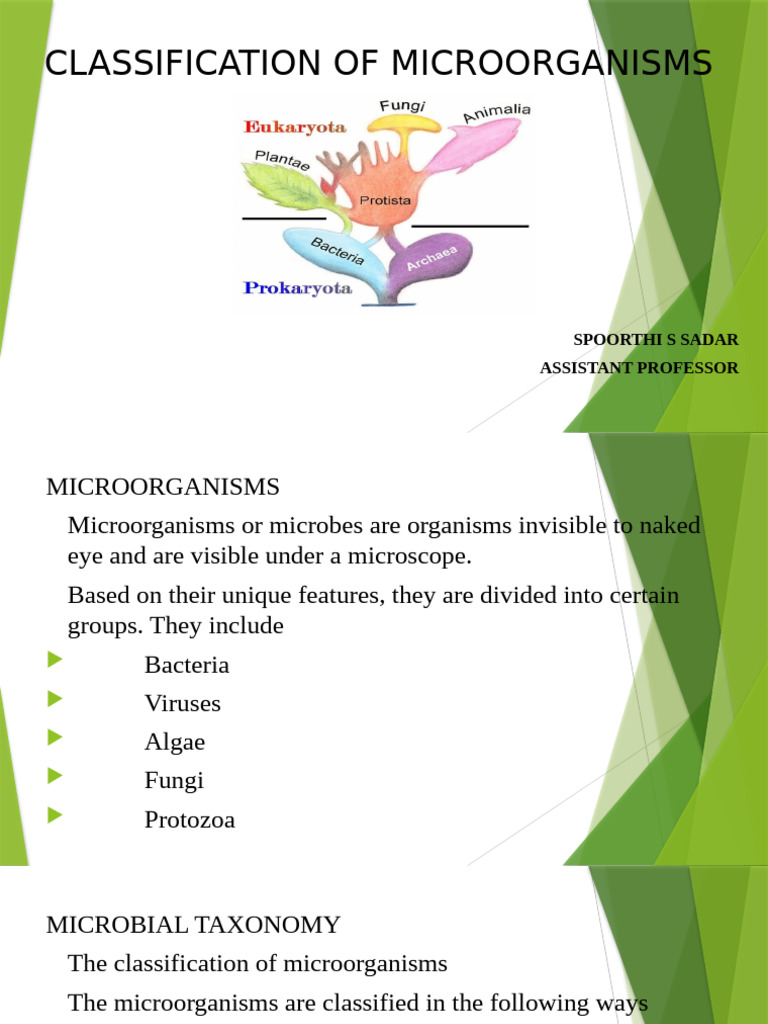 Classification of Microorganisms | PDF | Microorganism | Eukaryotes