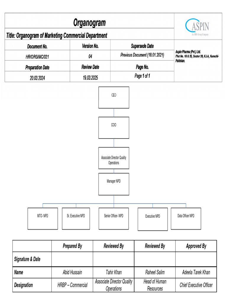 NPD Management Team Structure Overview | PDF