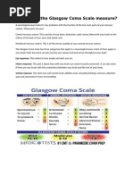 Neurological Observation Chart - GCS - Pupil Size | PDF