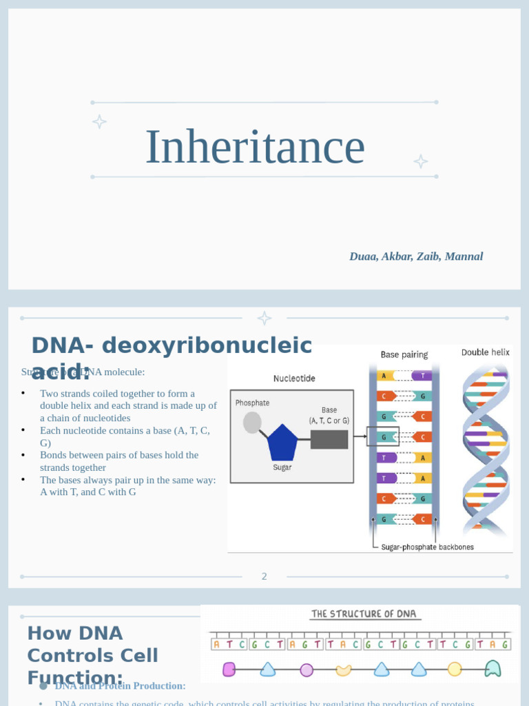Bio Presentation-1 | PDF | Dominance (Genetics) | Genotype