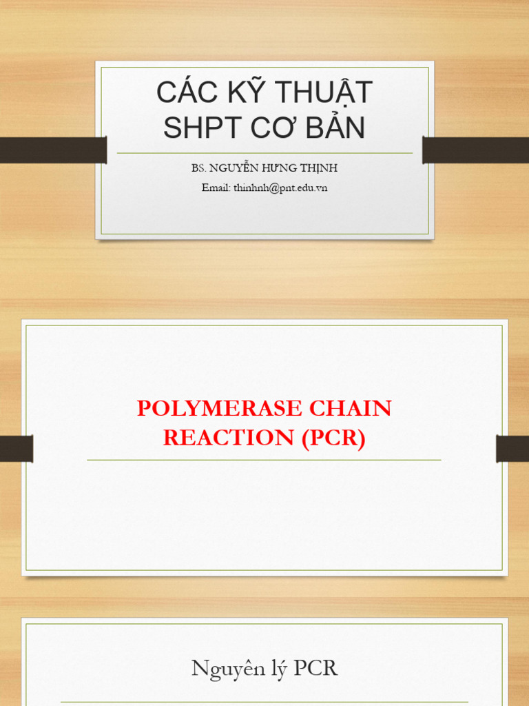 3.2 Polymerase Chain Reaction (PCR) | PDF