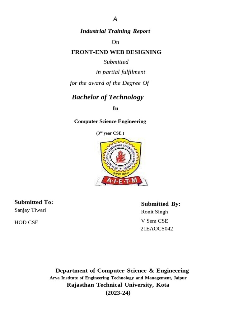 Ronit Report | PDF | World Wide Web | Internet & Web