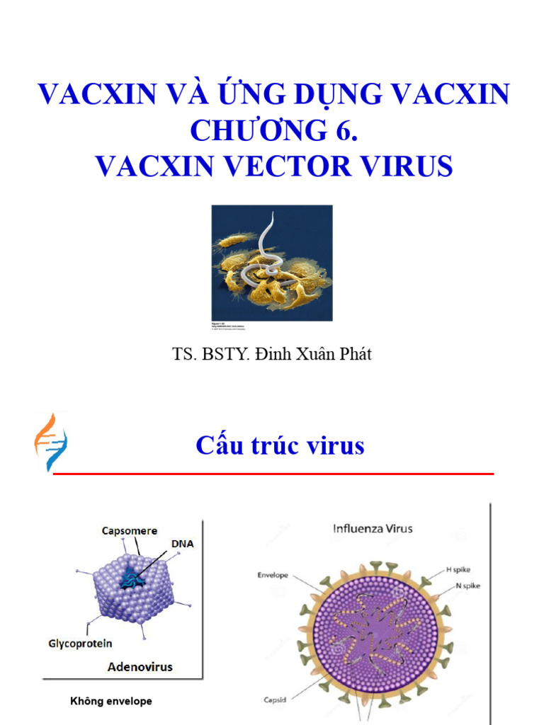 Vacxin Bai 6. Vector Virus | PDF
