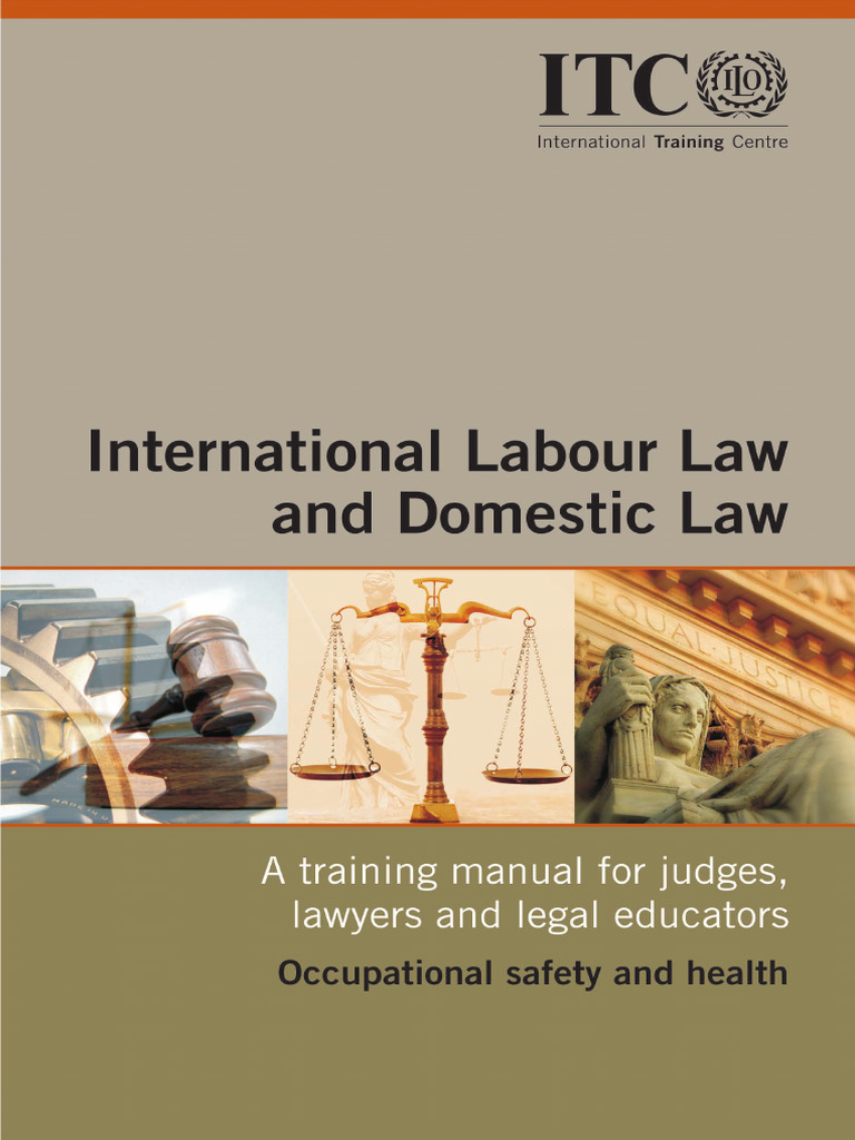 International Labour Law | PDF | International Labour Organization ...