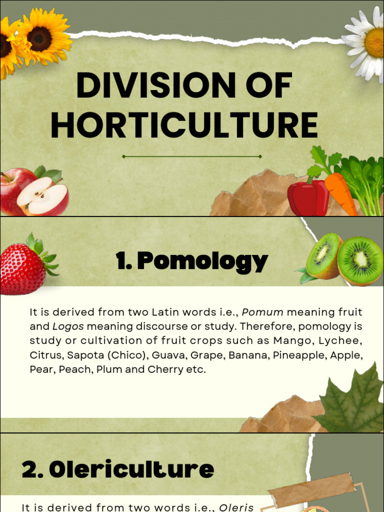 Lesson 1 Introduction To Horticulture | PDF | Tissue (Biology ...