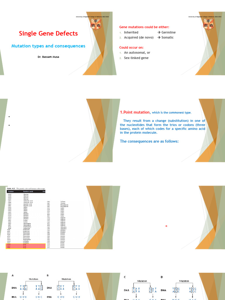 GBD7 Mutation Types and Consequences Dr. Bassam | PDF | Point Mutation | Genetic Code
