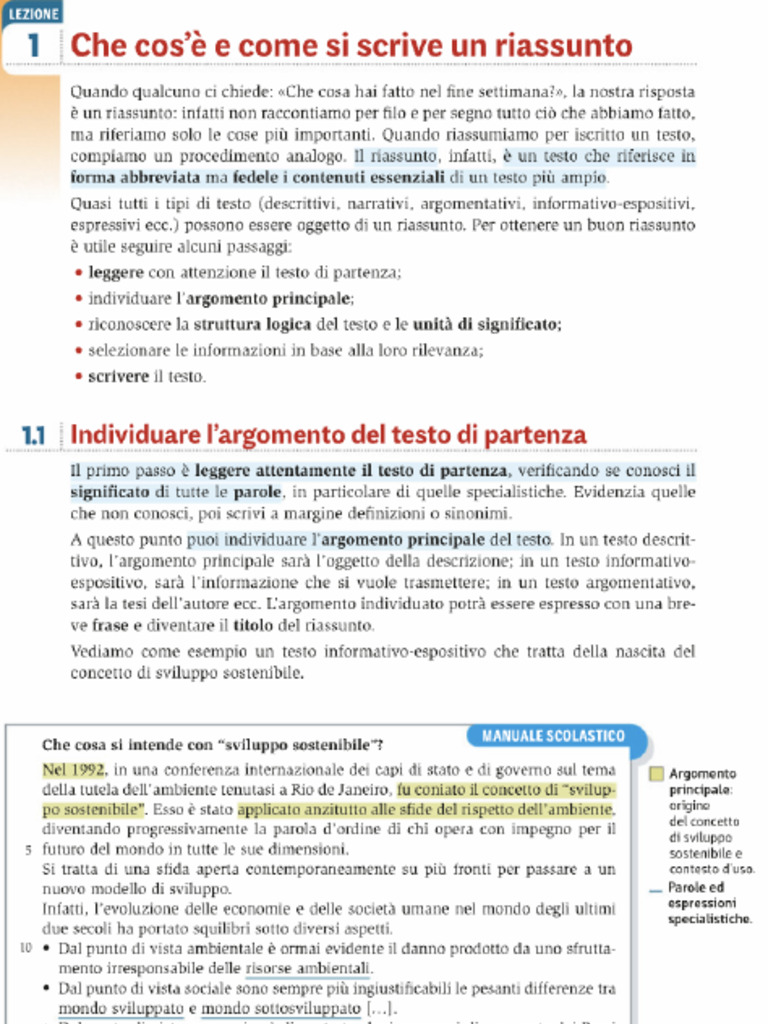Il Riassunto Libro Di Testo | PDF