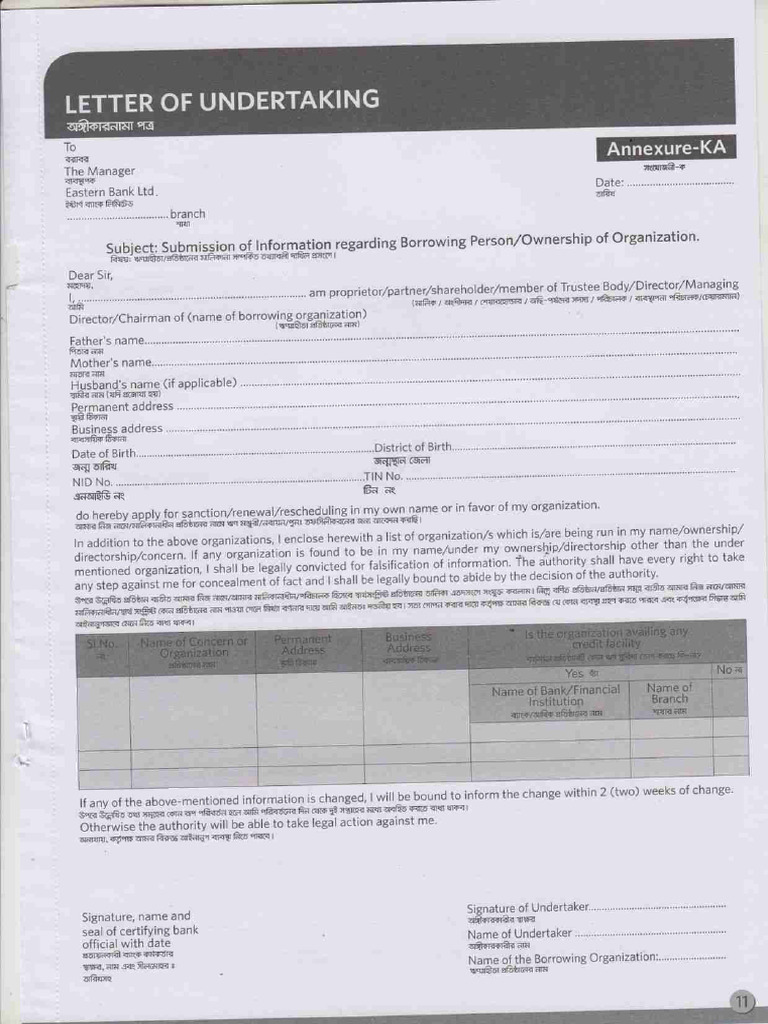 CIB Undertaking | PDF