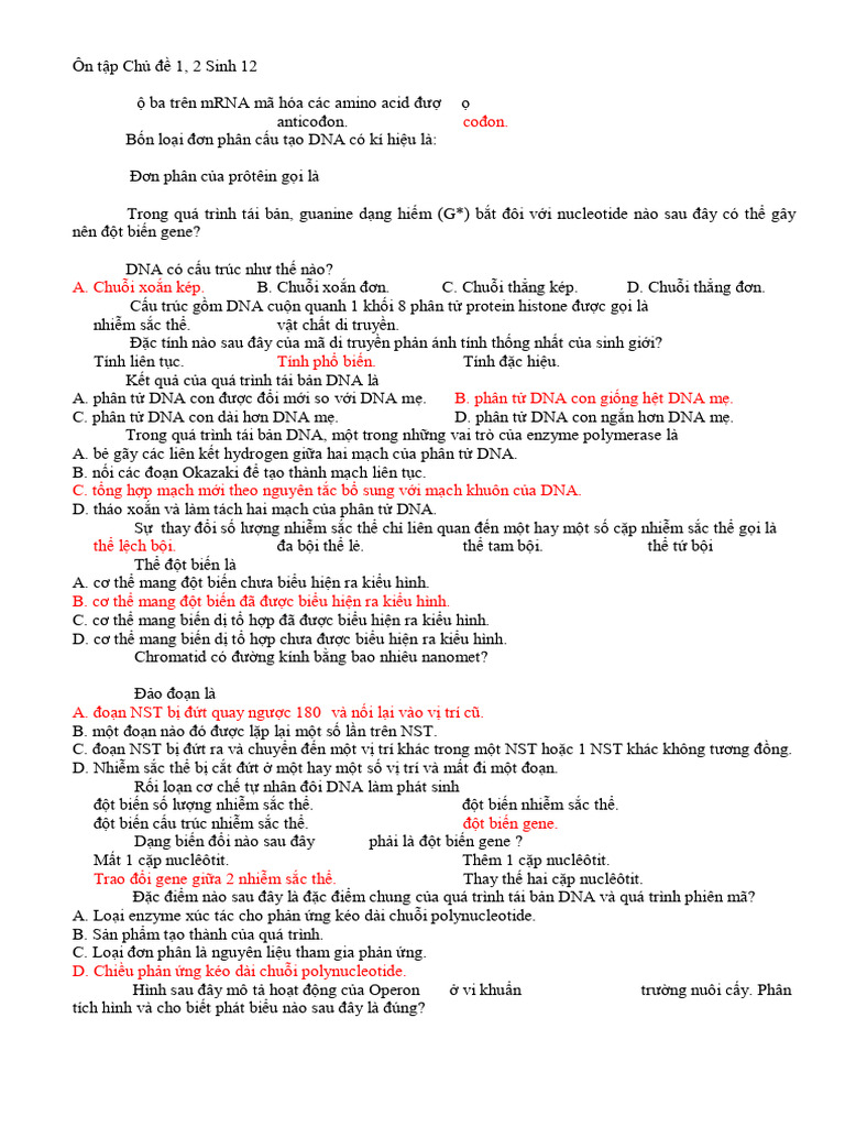 Đề cương GK1 | PDF