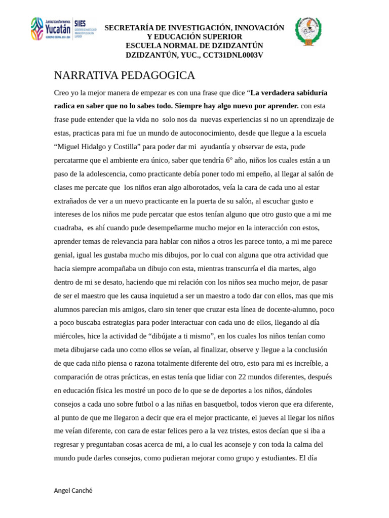 Reflexiones de una Práctica Docente | PDF | Aprendizaje | Mente