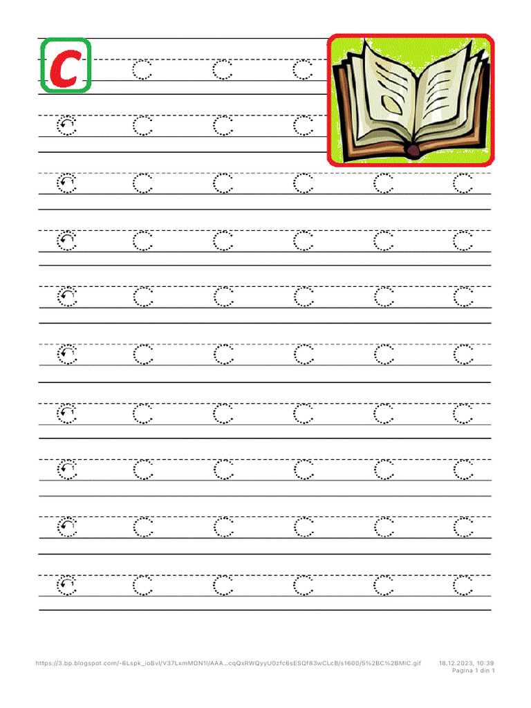 Litera C | PDF
