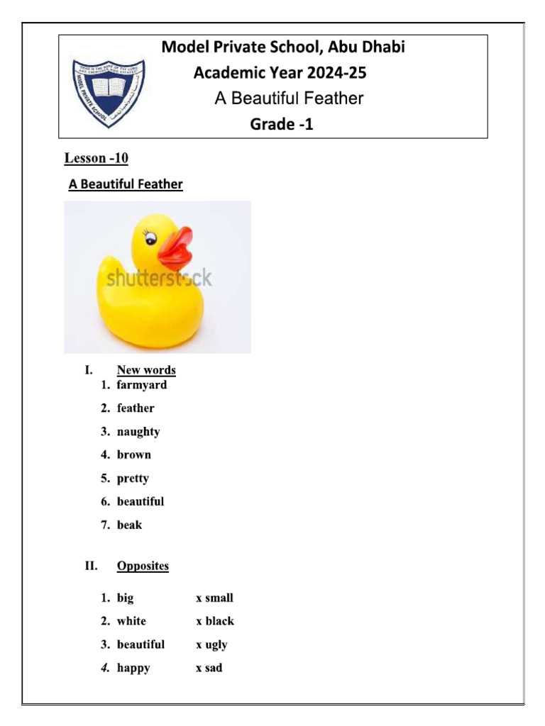 A Beautiful Feather - Notes For Exam Reference | PDF