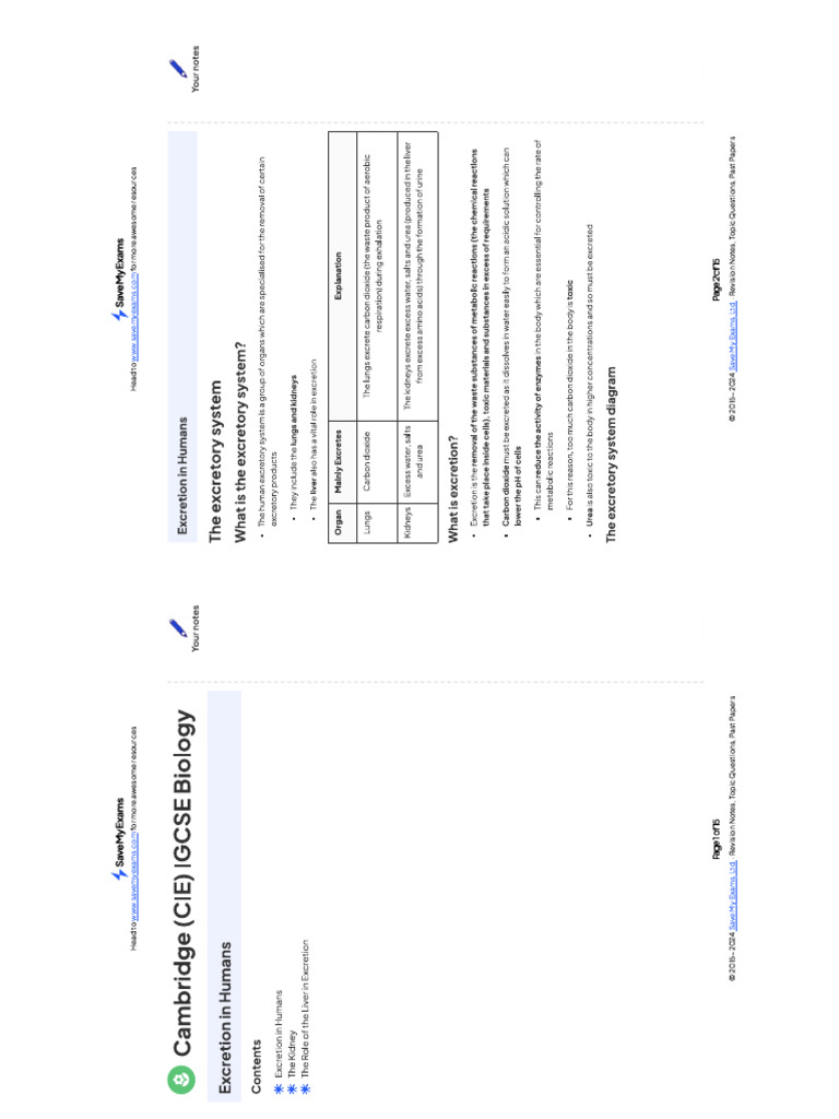 Excretion in Humans - Cambridge (CIE) IGCSE Biology Revision Notes 2021 ...