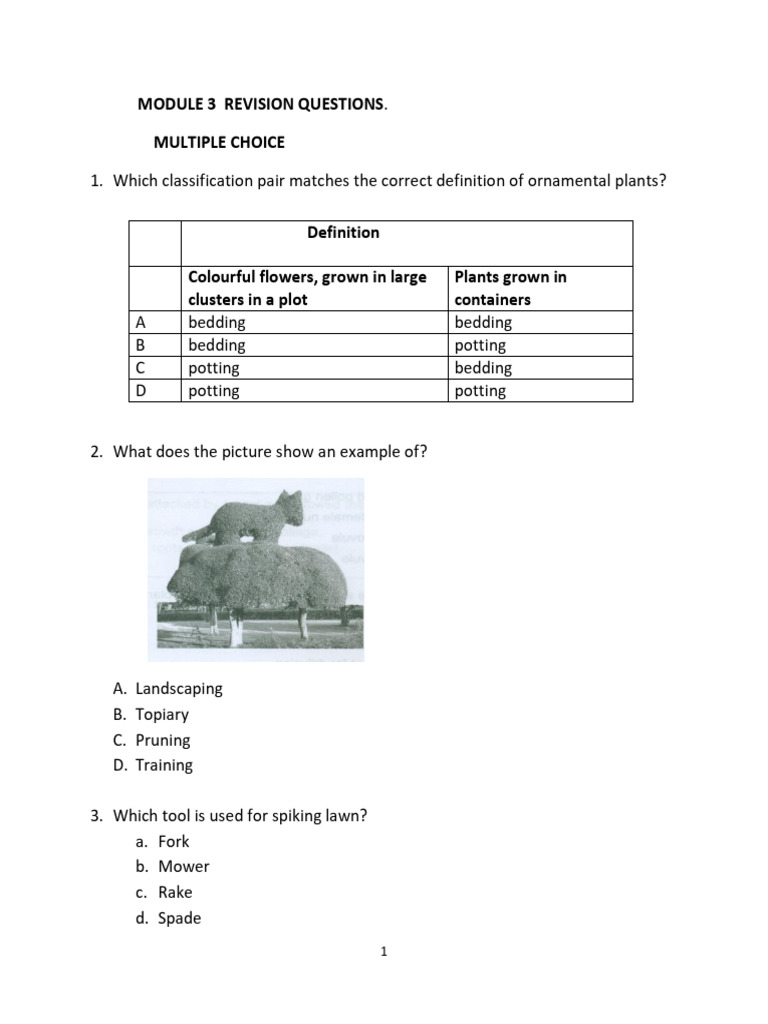 Bgcse Module 3 Revision Questions | PDF | Lawn | Plants