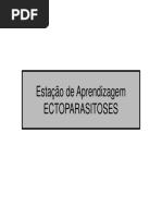 Sintomas da Tungíase e Cuidados | PDF | Doenças e distúrbios | Remédio