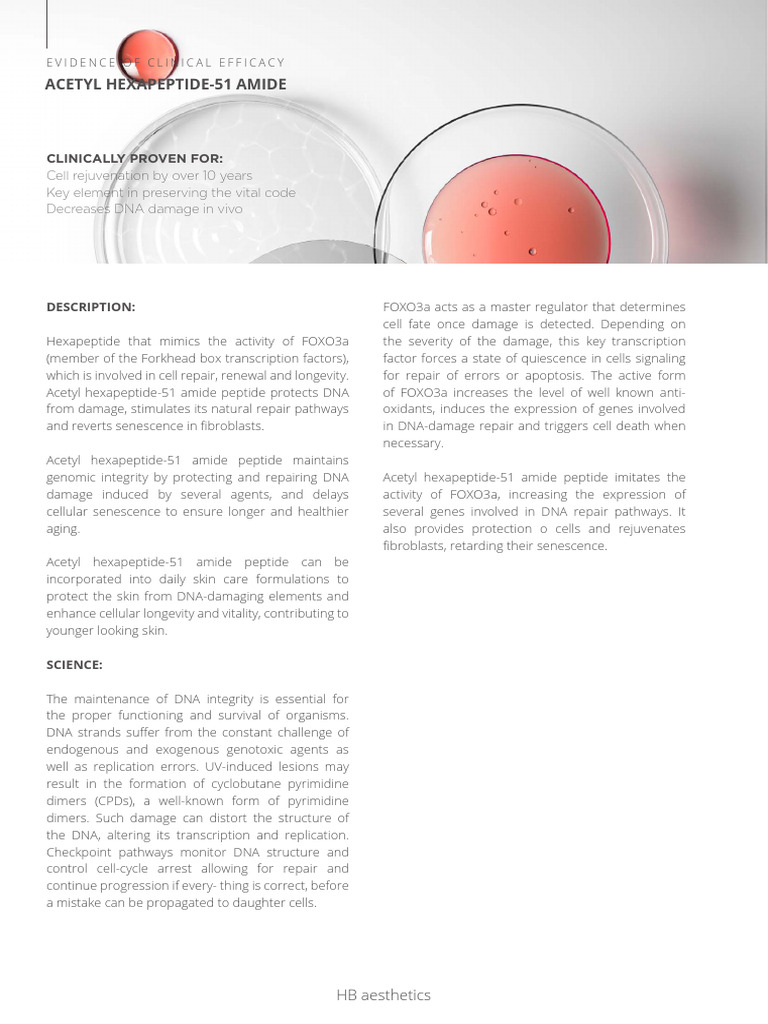 Acetyl Hexapeptide-51 Amide | PDF | Dna Repair | Biological Processes