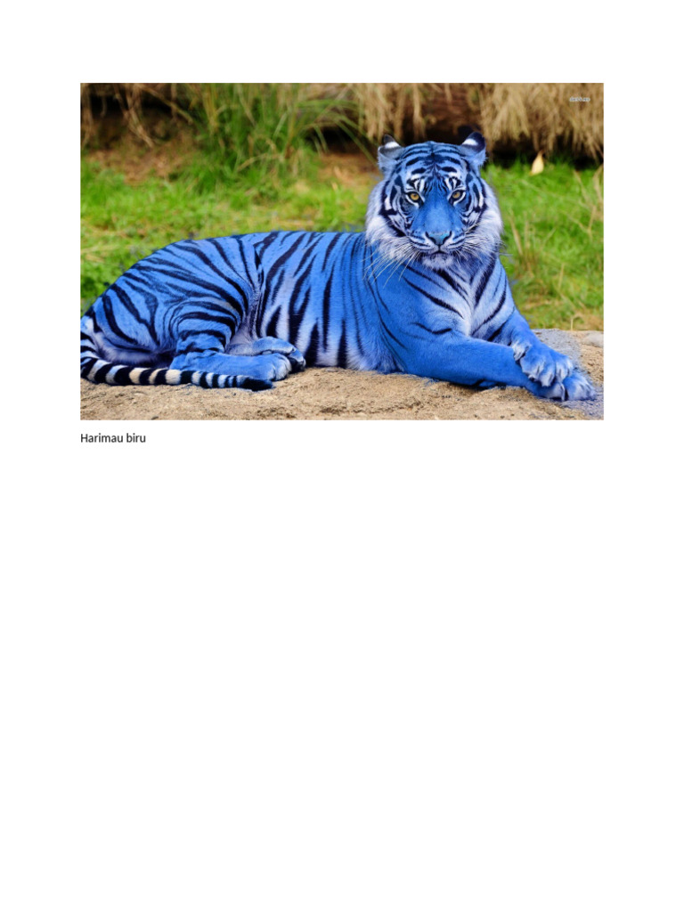 Harimau Biru | PDF