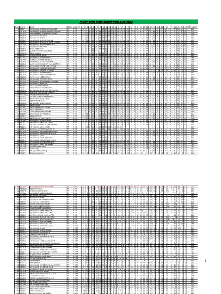 Time Sheet FTM Aug-2024 | PDF