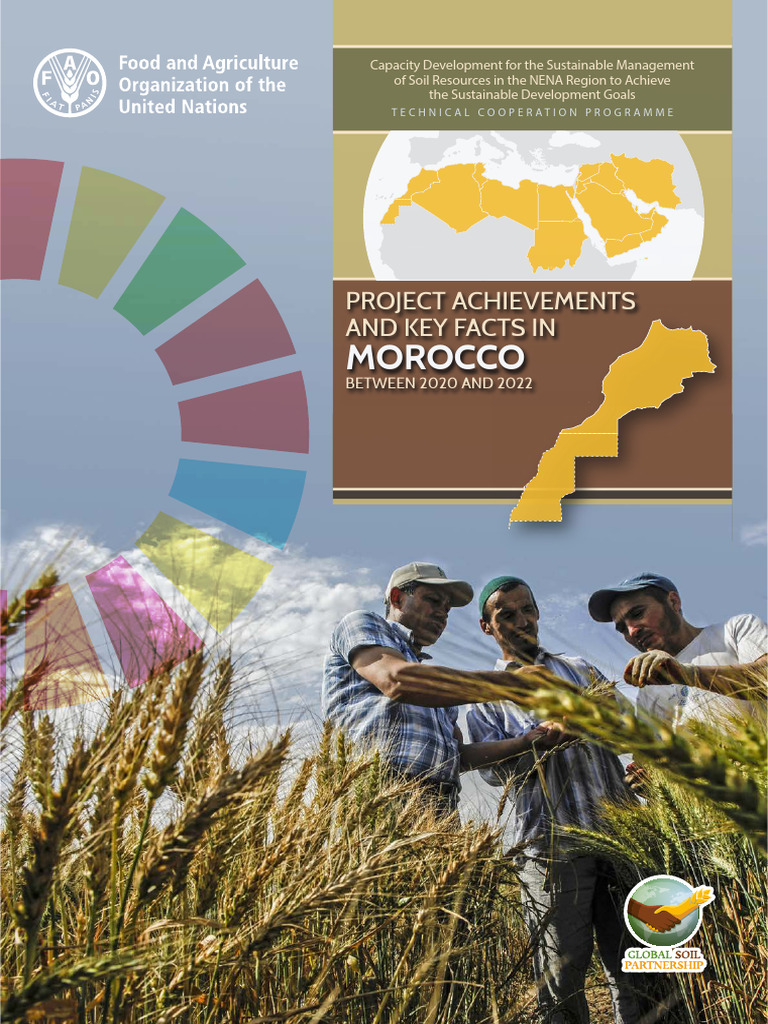 Rapport FAO Salinity INRA 2022 | PDF | Soil | Carbon Sequestration