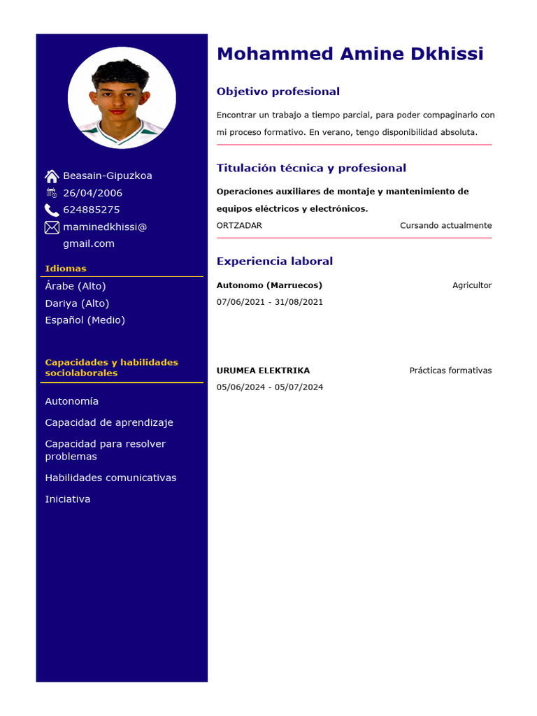 Dkhissi Mohammed Amine - CV | PDF