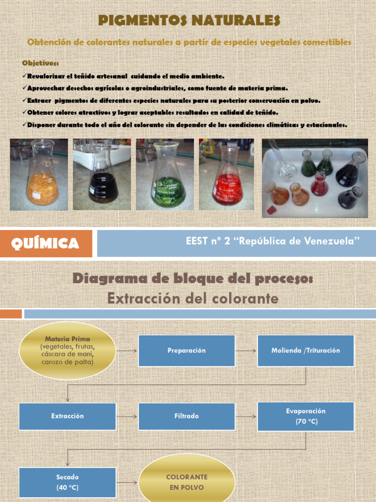 Pigmentos Naturales Pdf