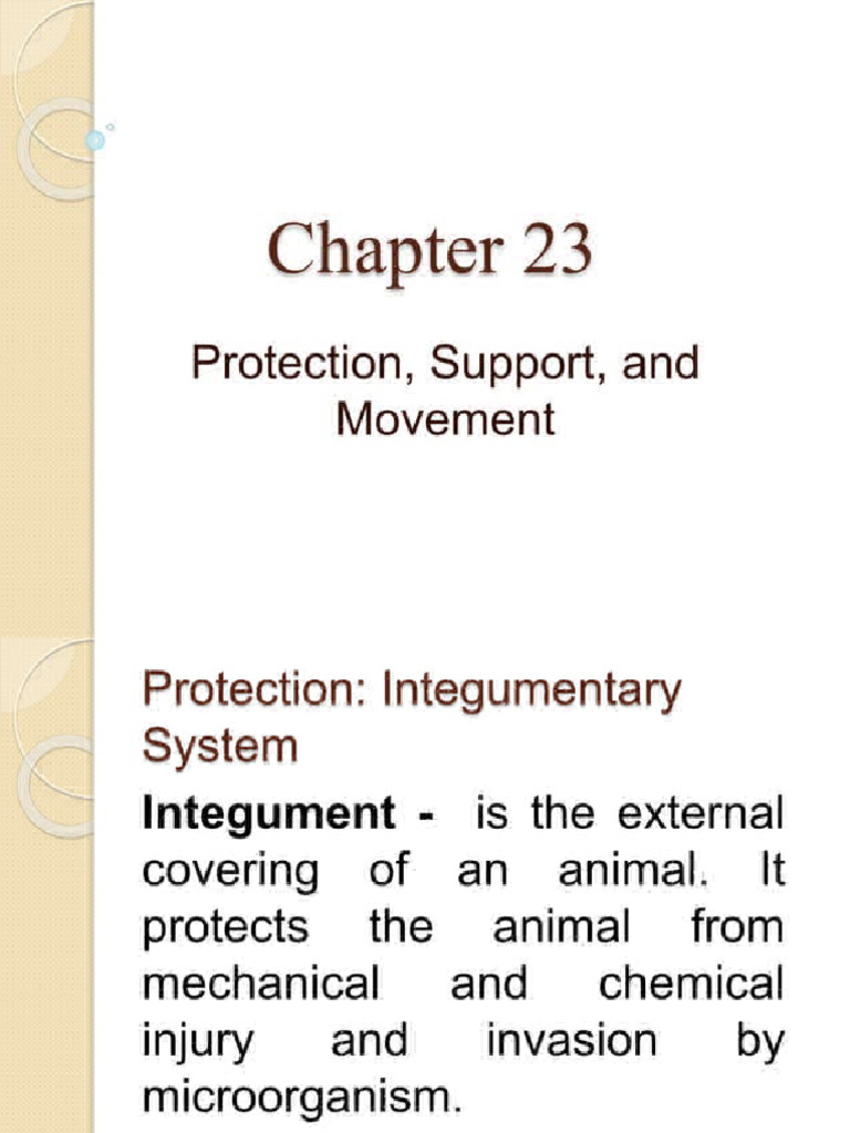 Protection Support and Moment | PDF