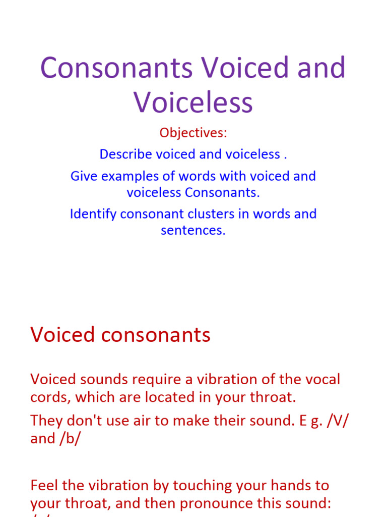 Voiced and Voiceless Consonants Guide | PDF
