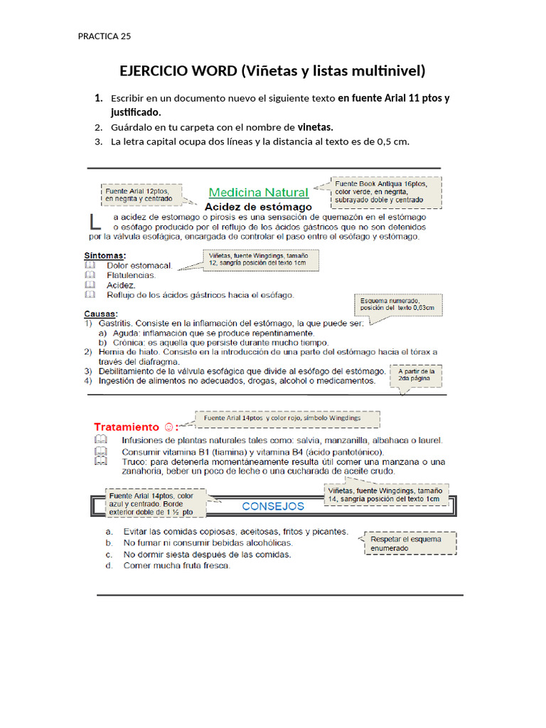 Practica 25. Viñetas y Listas Multinivel | PDF