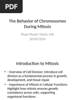 Amoeba Sisters Cell Cycle-1 | PDF | Mitosis | Chromosome