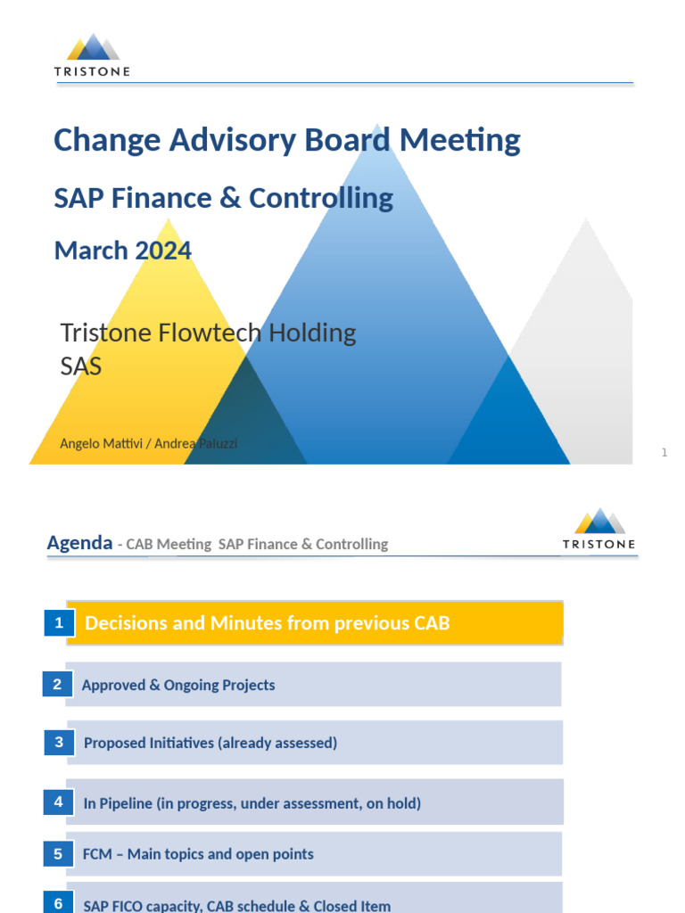 CAB Meeting Agenda - SAP FICO Projects | PDF | Value Added Tax ...