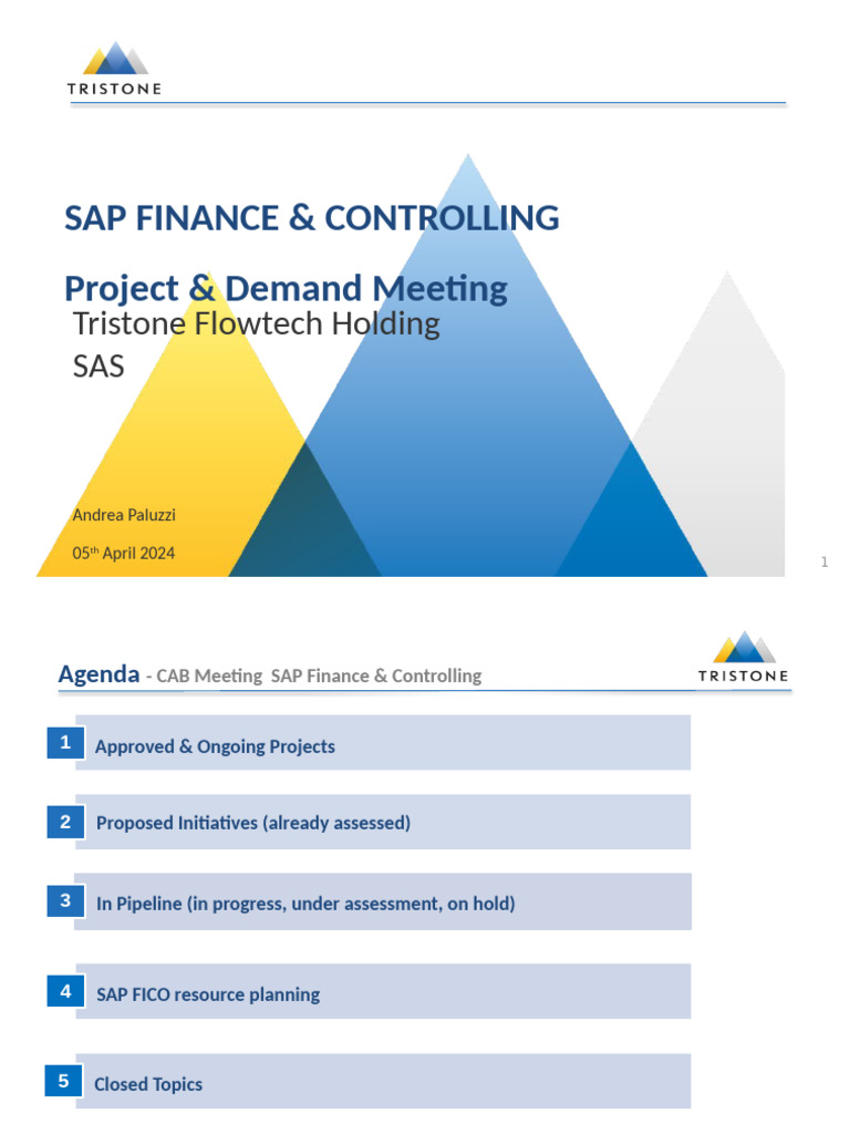 SAP FICO BiWeekly Project Demand MGMT 2024-02-05 | PDF | Educational ...