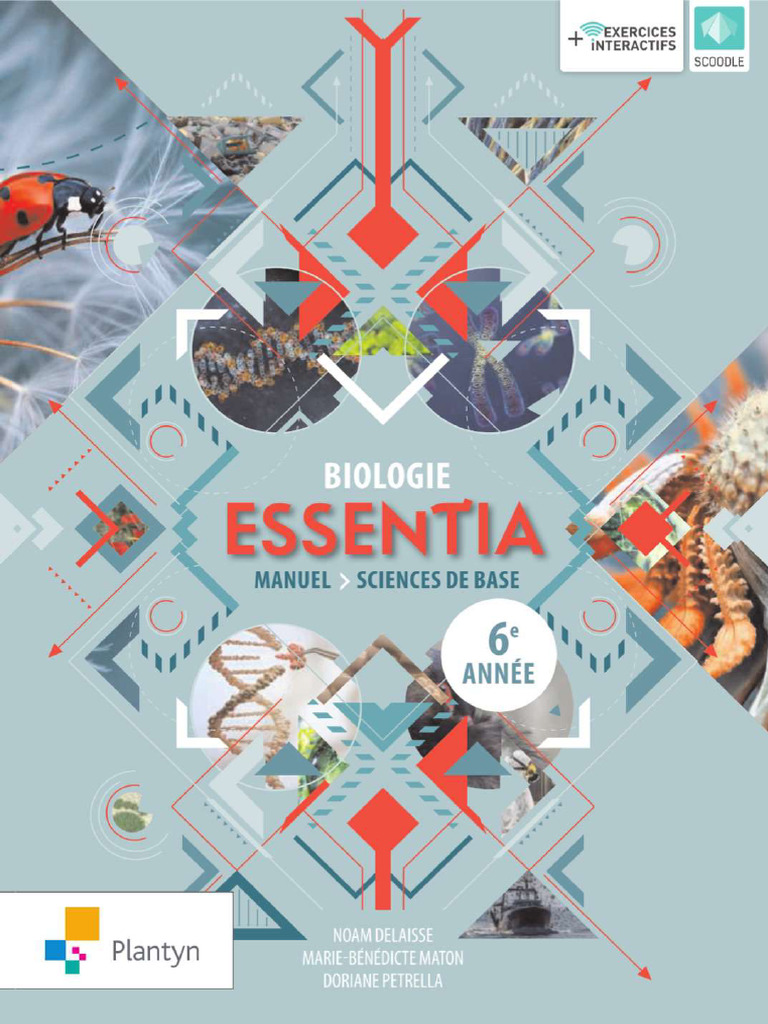 ESSENTIA - 6ème Année - Plantyn (2021) | PDF
