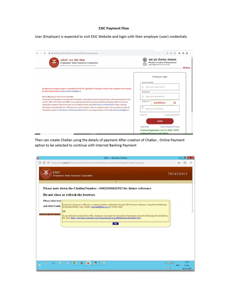ESIC Payment Process Flow | PDF