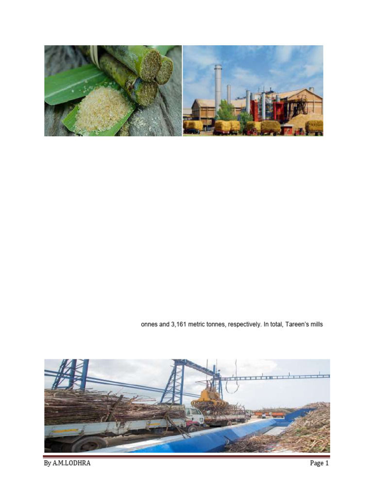 Sugar Export Quota | PDF