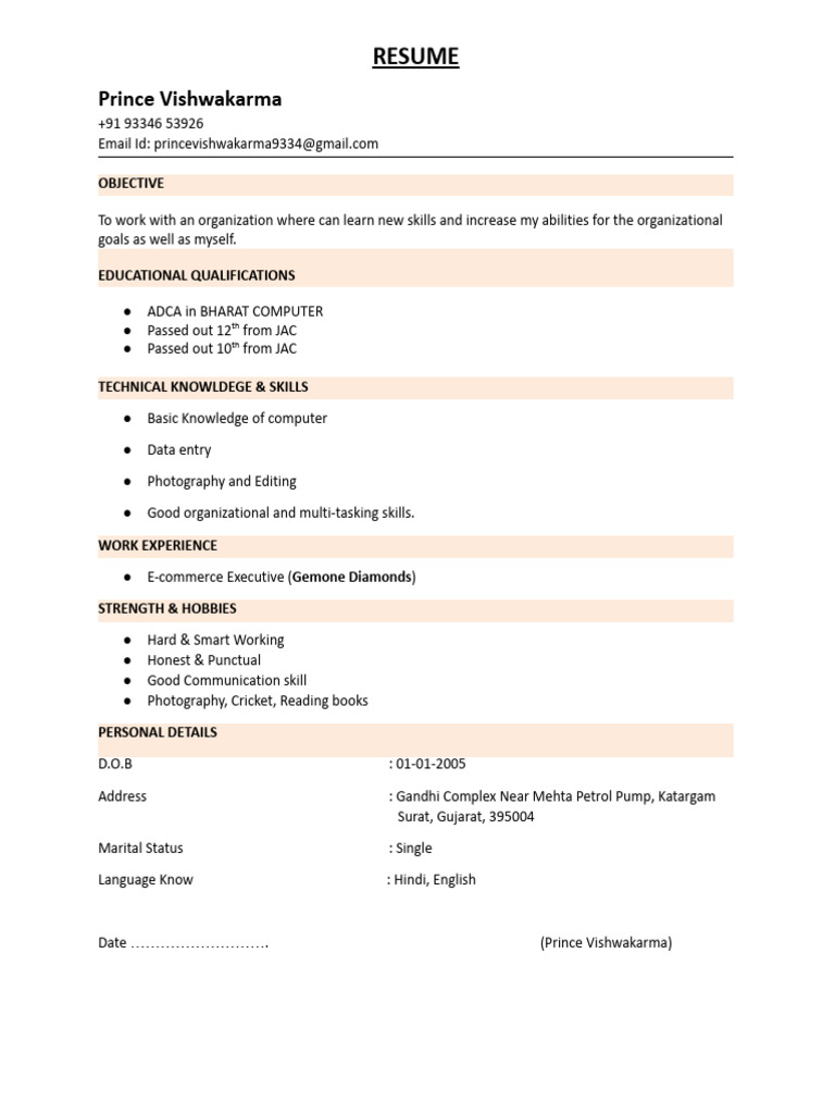 Prince Vishwakarma Resume | PDF