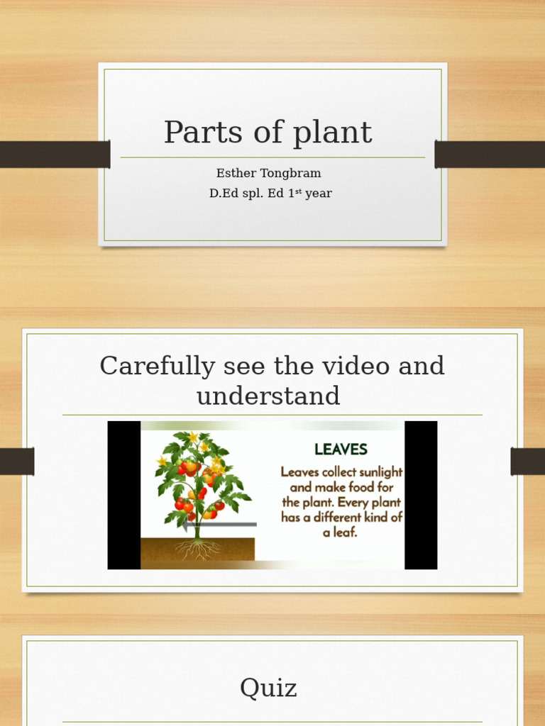 Esther Parts of Plant PPT | PDF | Language Arts & Discipline