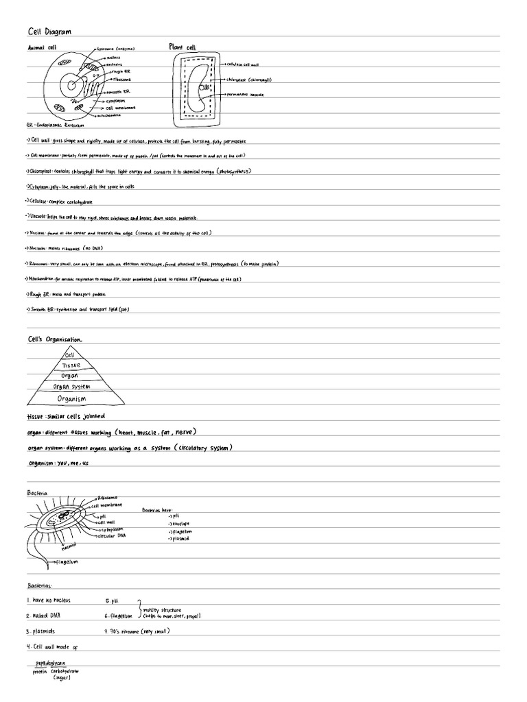 Biology Notes Cambridge IGCSE O Level | PDF