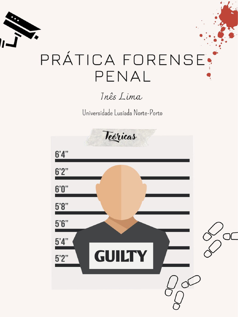 PFP Teórias 2ºpe | PDF | Crimes | Crime e Violência