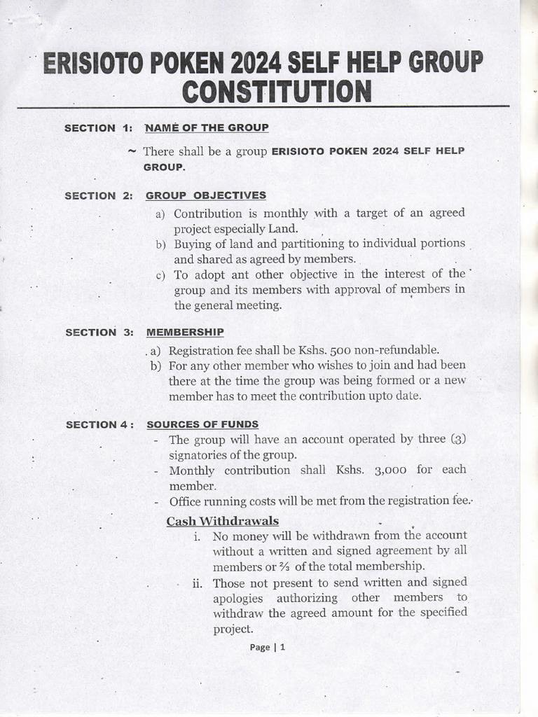 Erisioto Poken Constitution729 | PDF