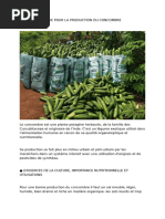 Guide de culture du macabo au Cameroun | PDF | Fertilisant | Maïs