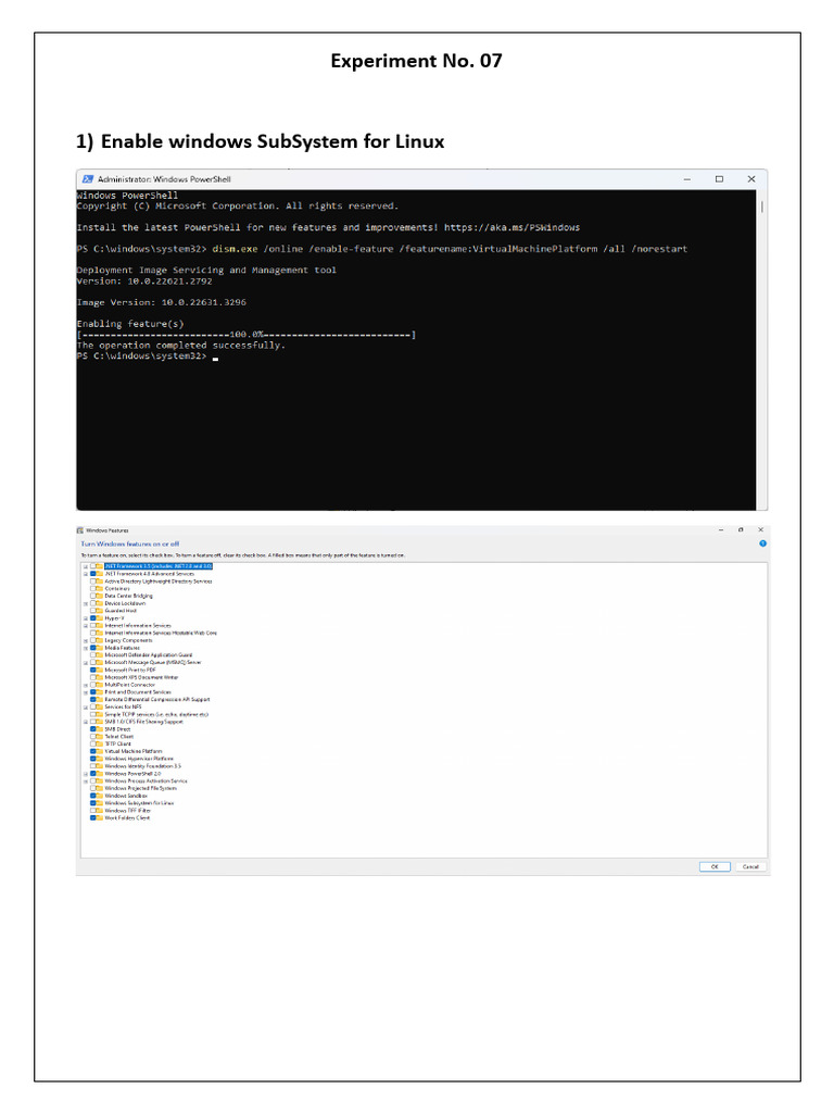 BCT Exp 7 | PDF | Technology & Engineering
