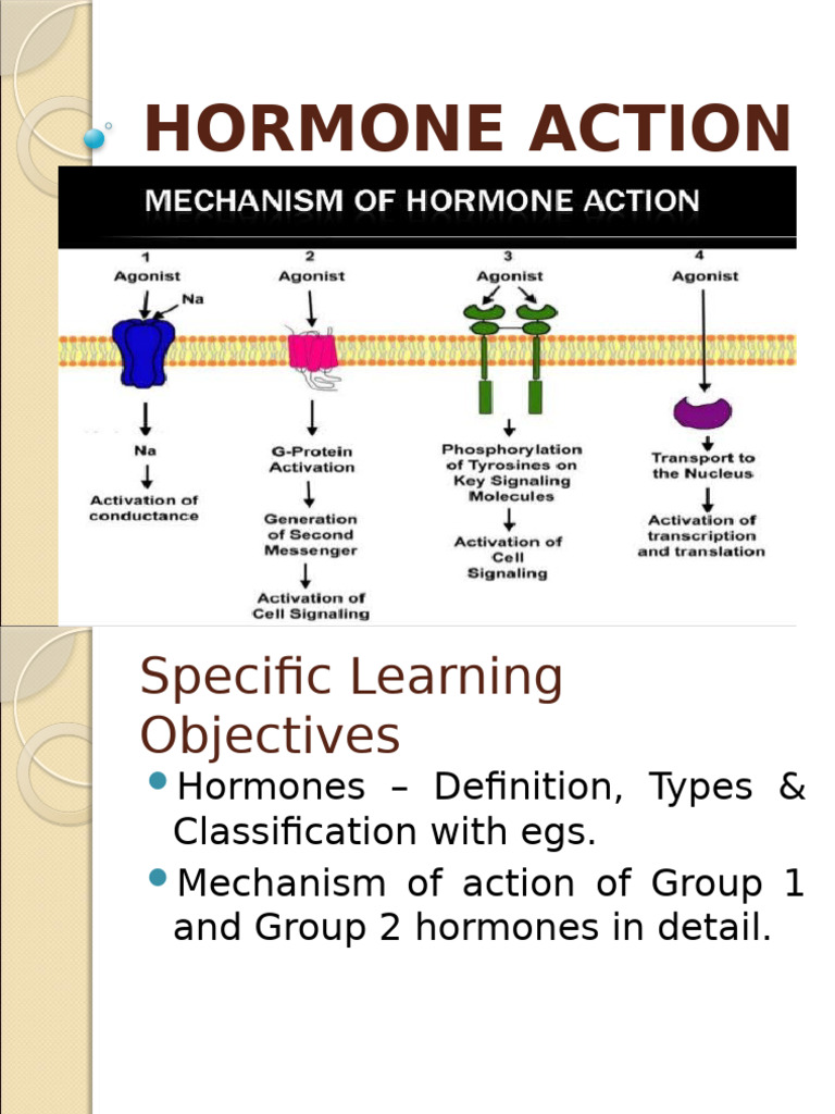 Mechanism of Hormone Action | PDF | Hormone | Kinase