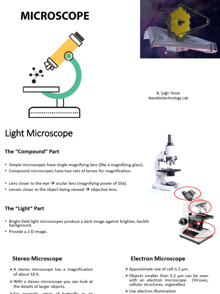Microscope Lab | PDF | Microscope | Electron Microscope